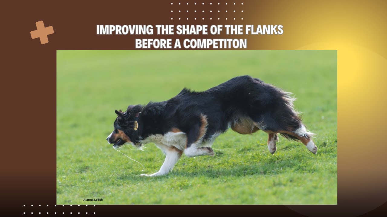 Improving the shape of the flanks before a competition - YouTube