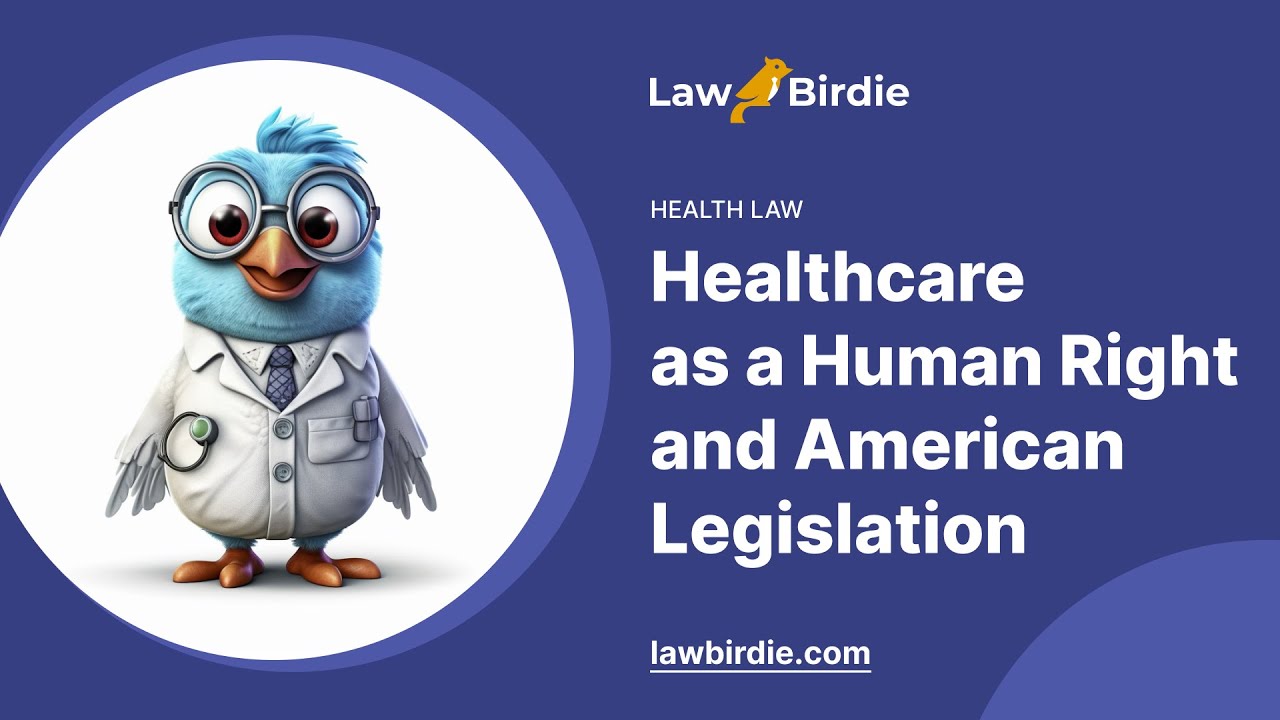 Healthcare as a Human Right and American Legislation - Essay Example ...