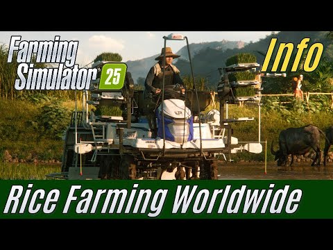 FS25 Rice Farming Worldwide (Information Video) - YouTube