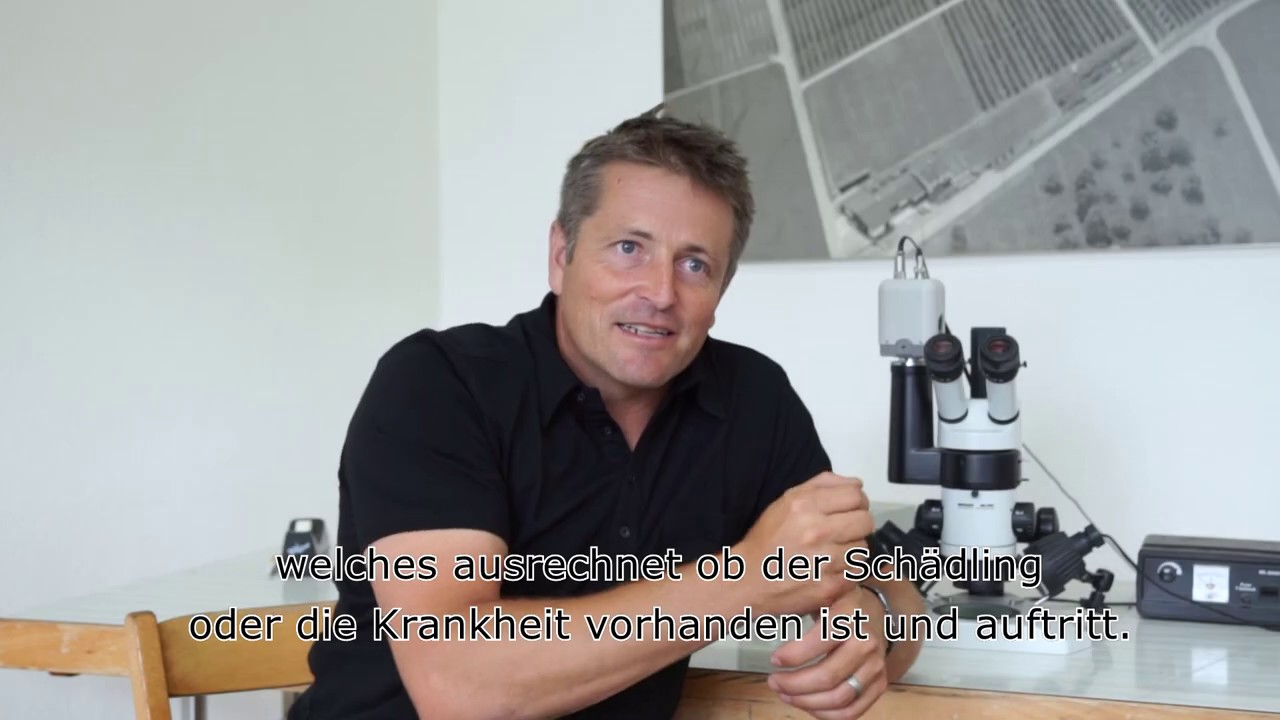 Das Monitoring – Ein Interview mit Patrick Stadler - YouTube