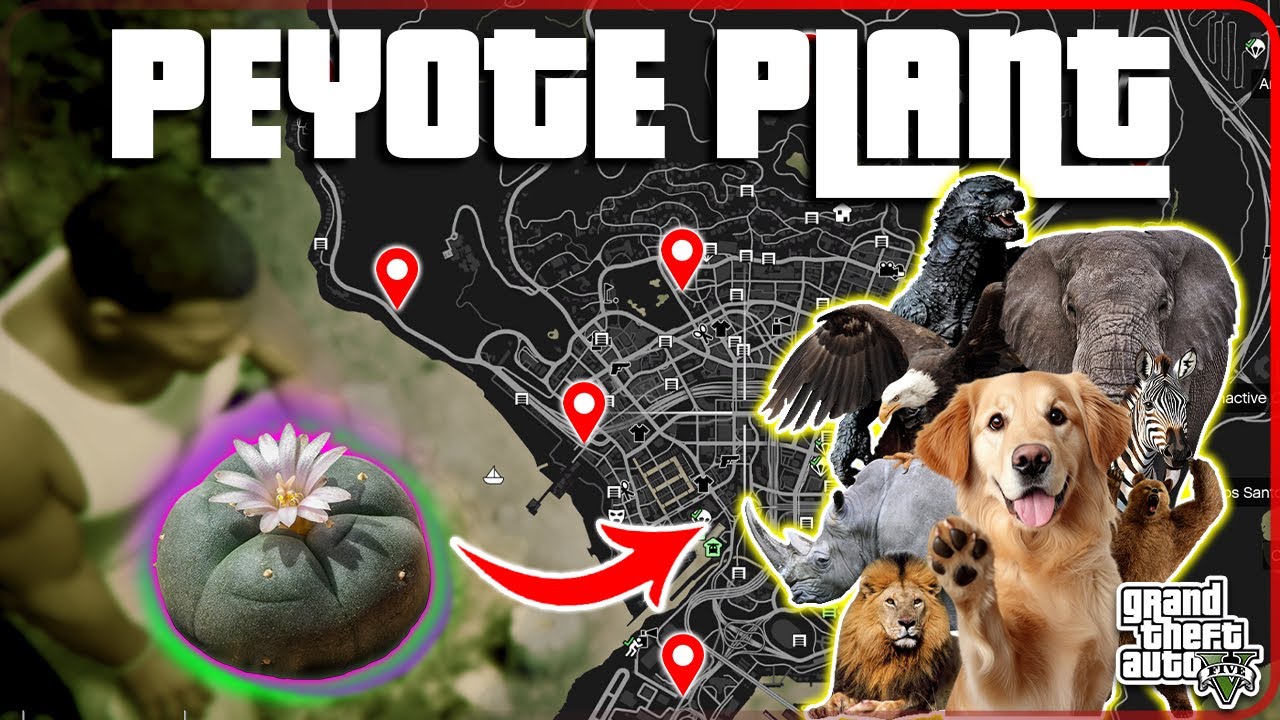 GTA 5 - All 27 Peyote Plant Locations in Story Mode | Unlock Every ...