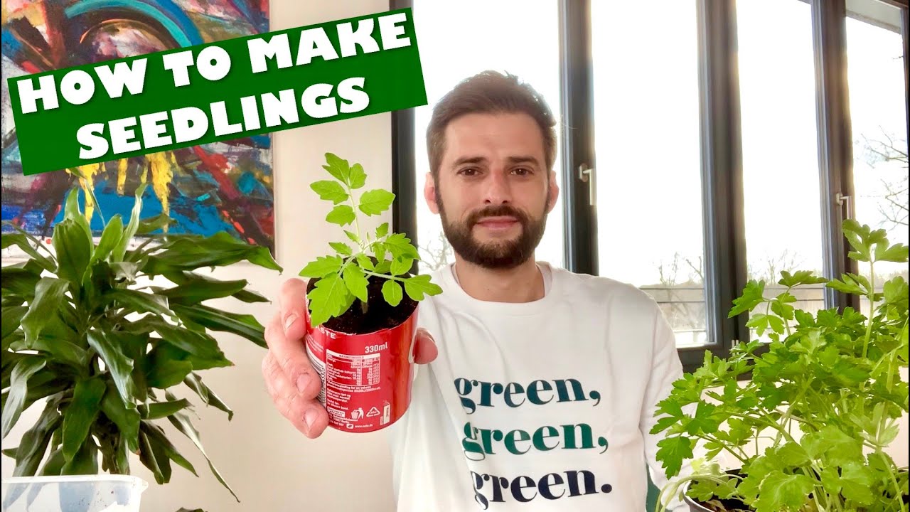 How to make seedlings - YouTube