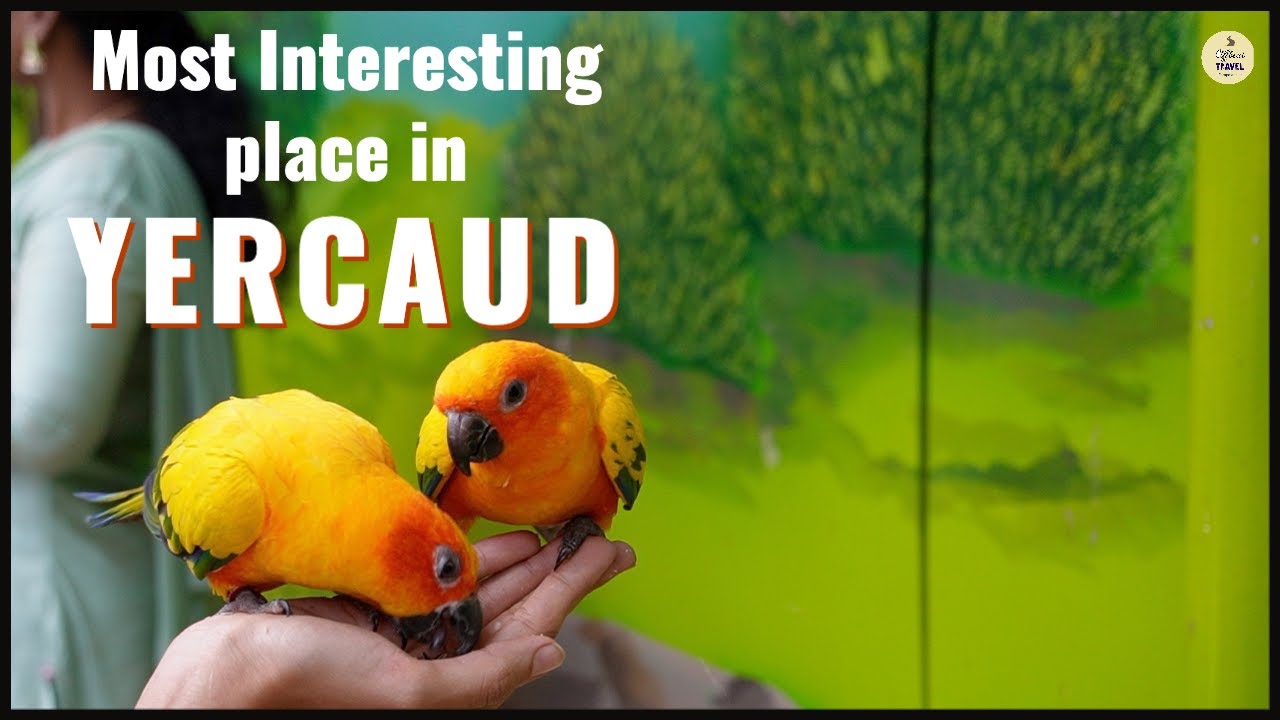 Explore Yercaud's Most interesting Tourist Places | must-visit to see ...