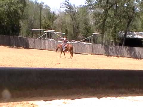 Doug Householder horses video 2 - YouTube
