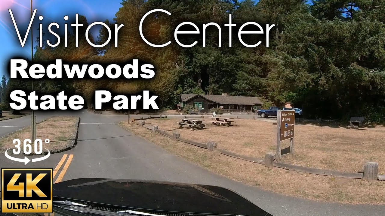 Drive to the Visitor Center in Prairie Creek Redwoods State Park, California, USA / 360° VR / 4K ...
