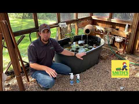 How To Create A Backyard Mini Pond - YouTube