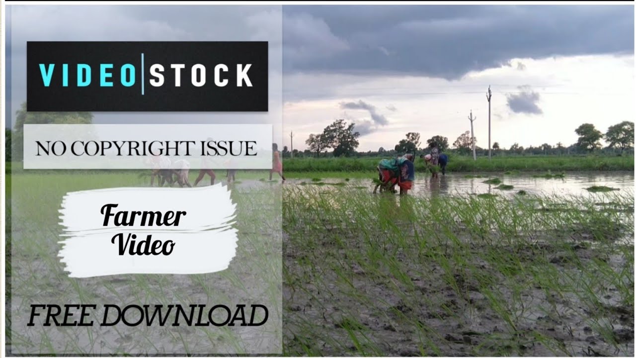 Farmer video | Free video for YouTube use | stock footage | Video stock ...