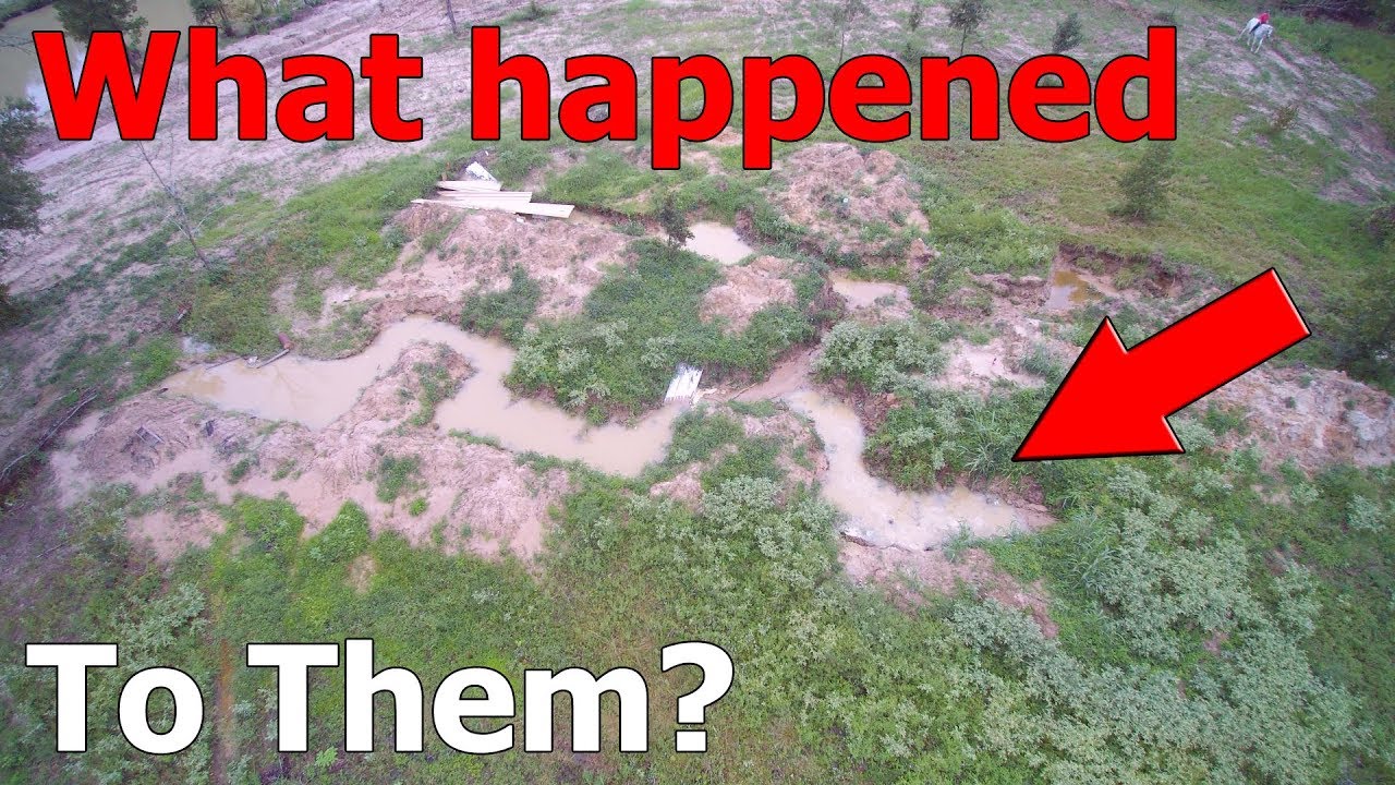 WW1 Trenches After the War - What Happened? - YouTube