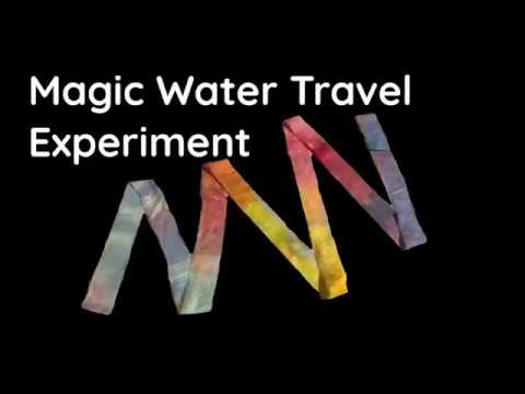 Magic Water Travel Experiment | Kids Science Experiment | Crazy ...