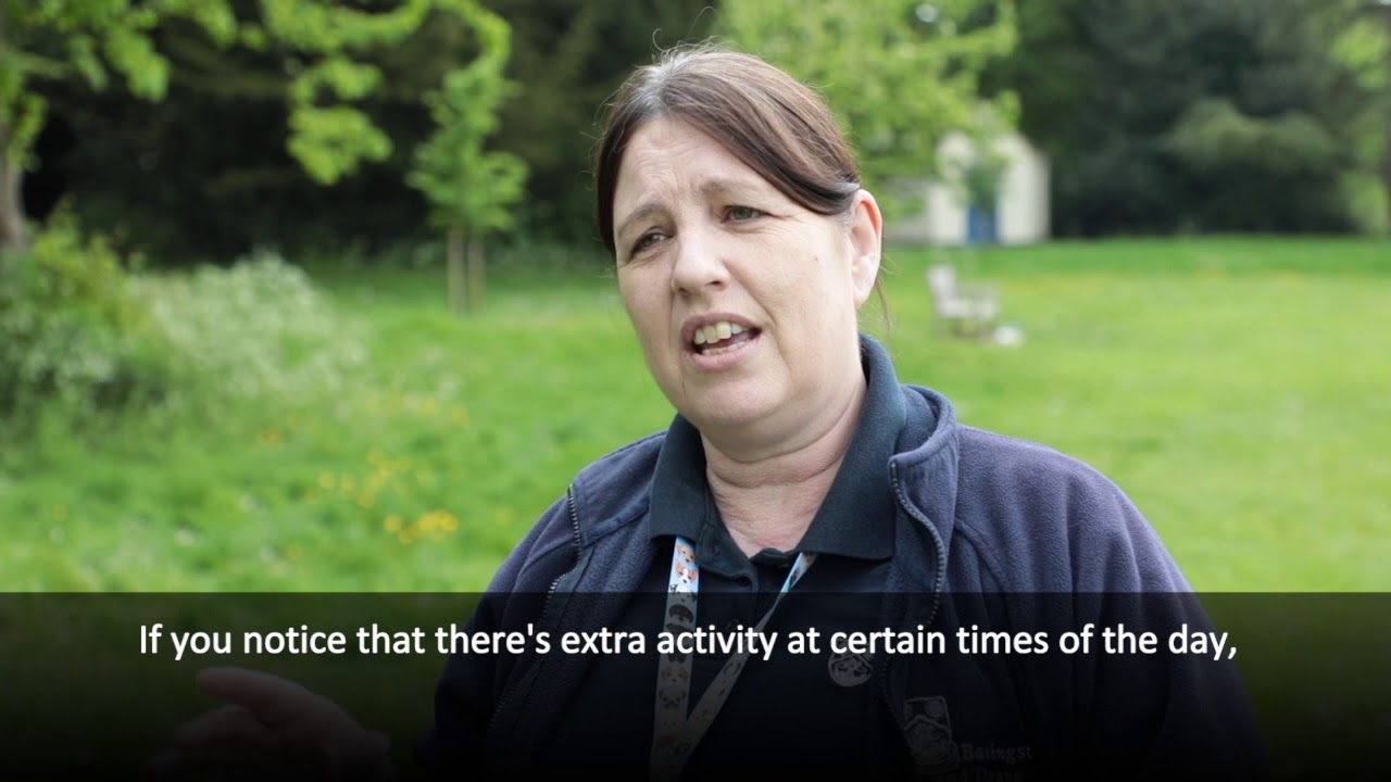 A message from our dog warden Laura Yeates: keeping your dog under ...