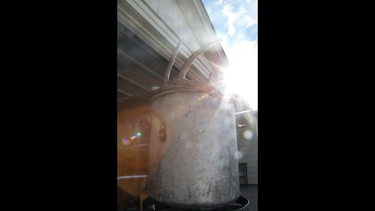 The Beginners Guide to a European Mount - YouTube