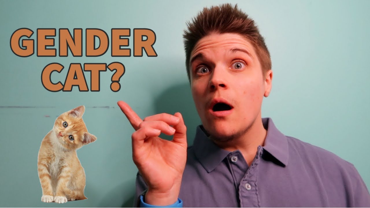 Gender Cat 4RLZ Jr Packer Prosthetic FTM Review - YouTube