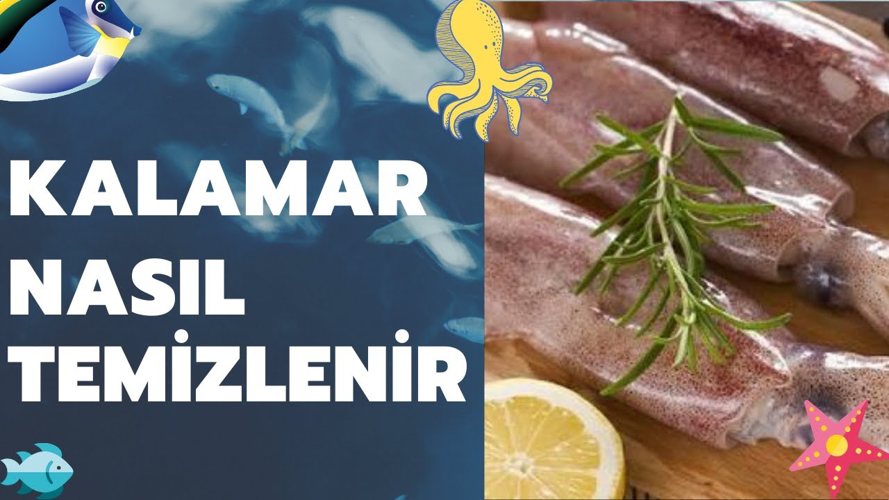 Kalamar Nasıl Temizlenir ? - YouTube