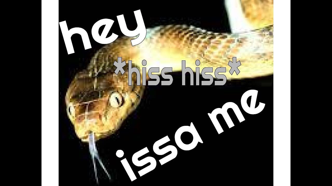 hiss ima snake - YouTube