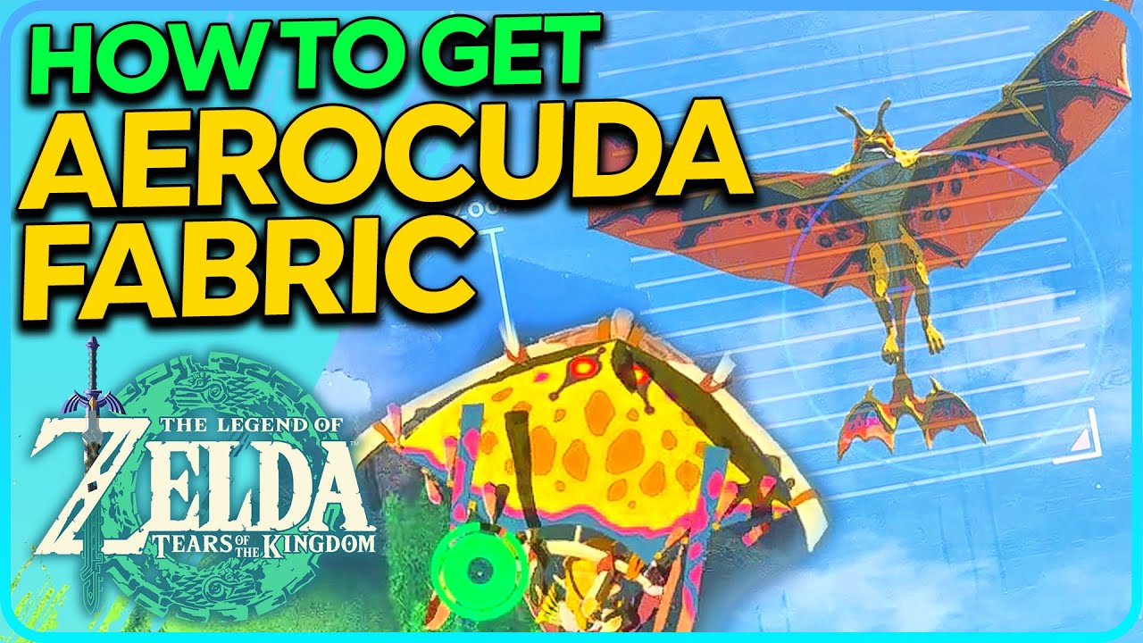 How to Get Aerocuda Fabric Paraglider Zelda Tears of the Kingdom - YouTube
