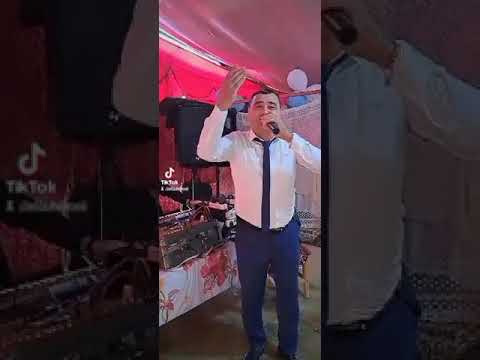 Elgün İncəli
