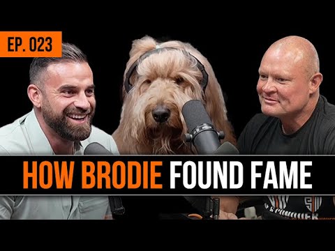 How Brodie Became The Most Famous Dog On The Internet - YouTube