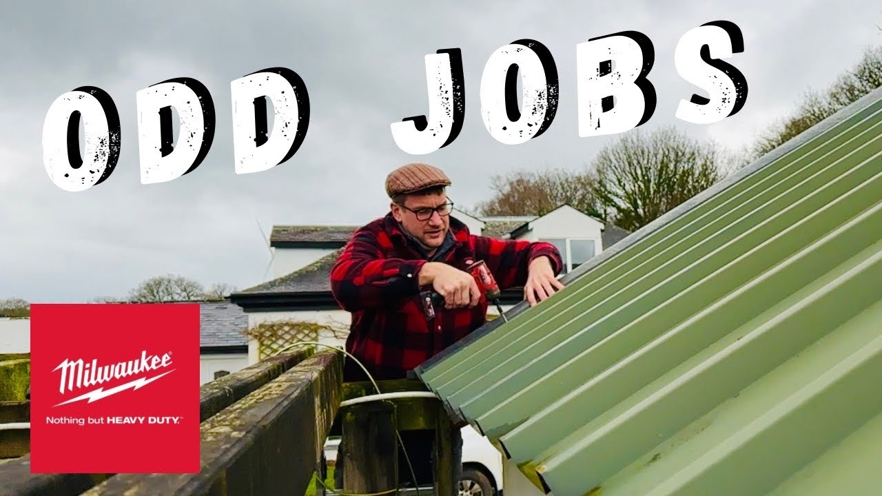From Bodge Jobs to Odd Jobs - Today we sort out a roof and Mollie does ...