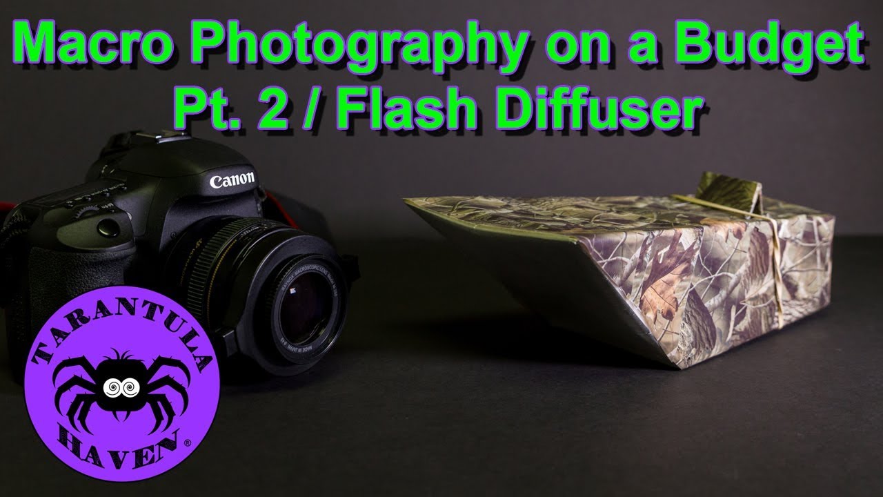 Macro Photography on a Budget Pt. 2/ Flash Diffuser - YouTube