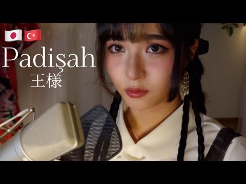 Padisah - Selin/セリン (cover)