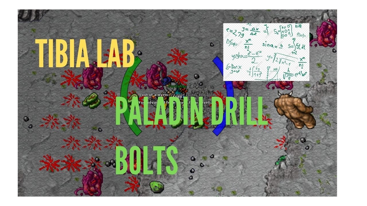 Tibia Lab Drill Bolts vs Wyrm ¿Cuántos ocupas para matar? - YouTube