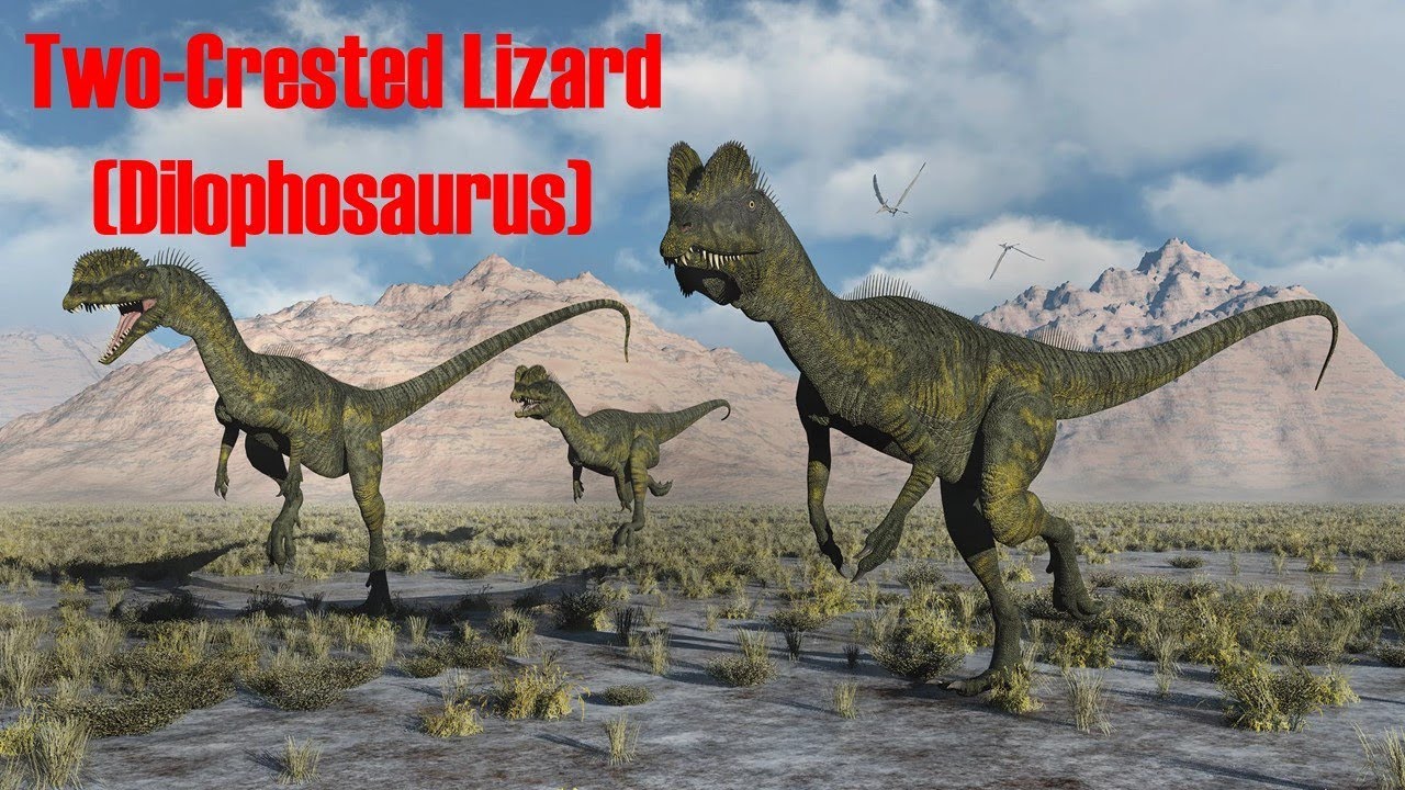 Two-Crested Lizard (Dilophosaurus) - YouTube