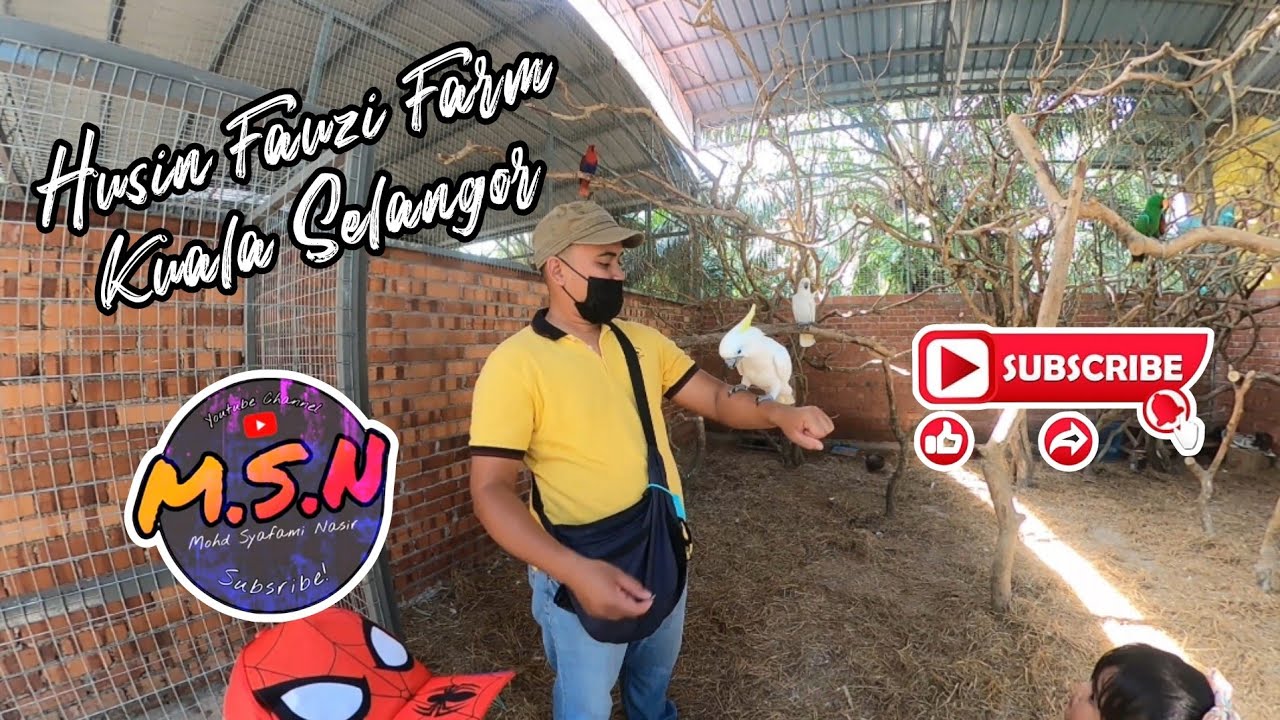 Hussin Fauzi Farm Kuala Selangor | Bercuti di kuala selangor berbaloi ...