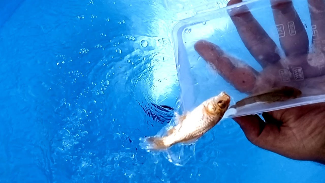 whirlpool vortex EXPERIMENTS. whirlpool. vortex. whirlpool experiments ...