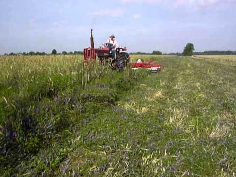 rinehart farms cover crop crimper Hairy vetch+ceral rye - YouTube