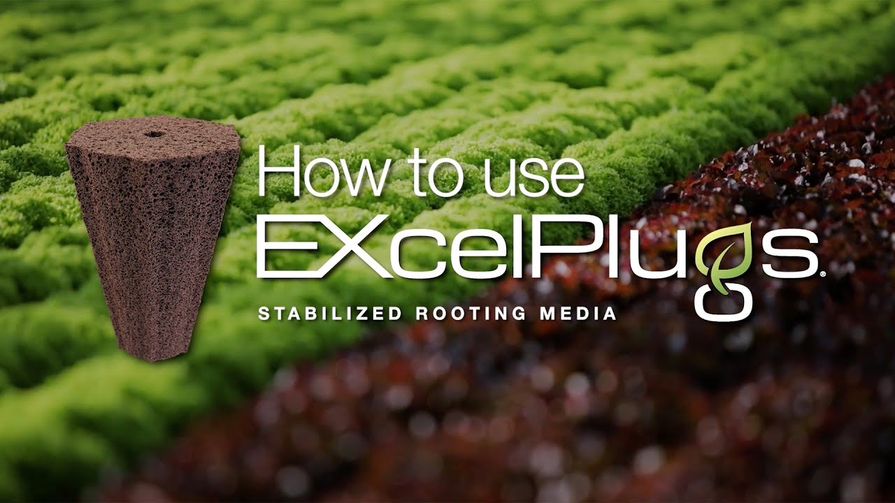 How to use IHORT Excel Plugs - YouTube