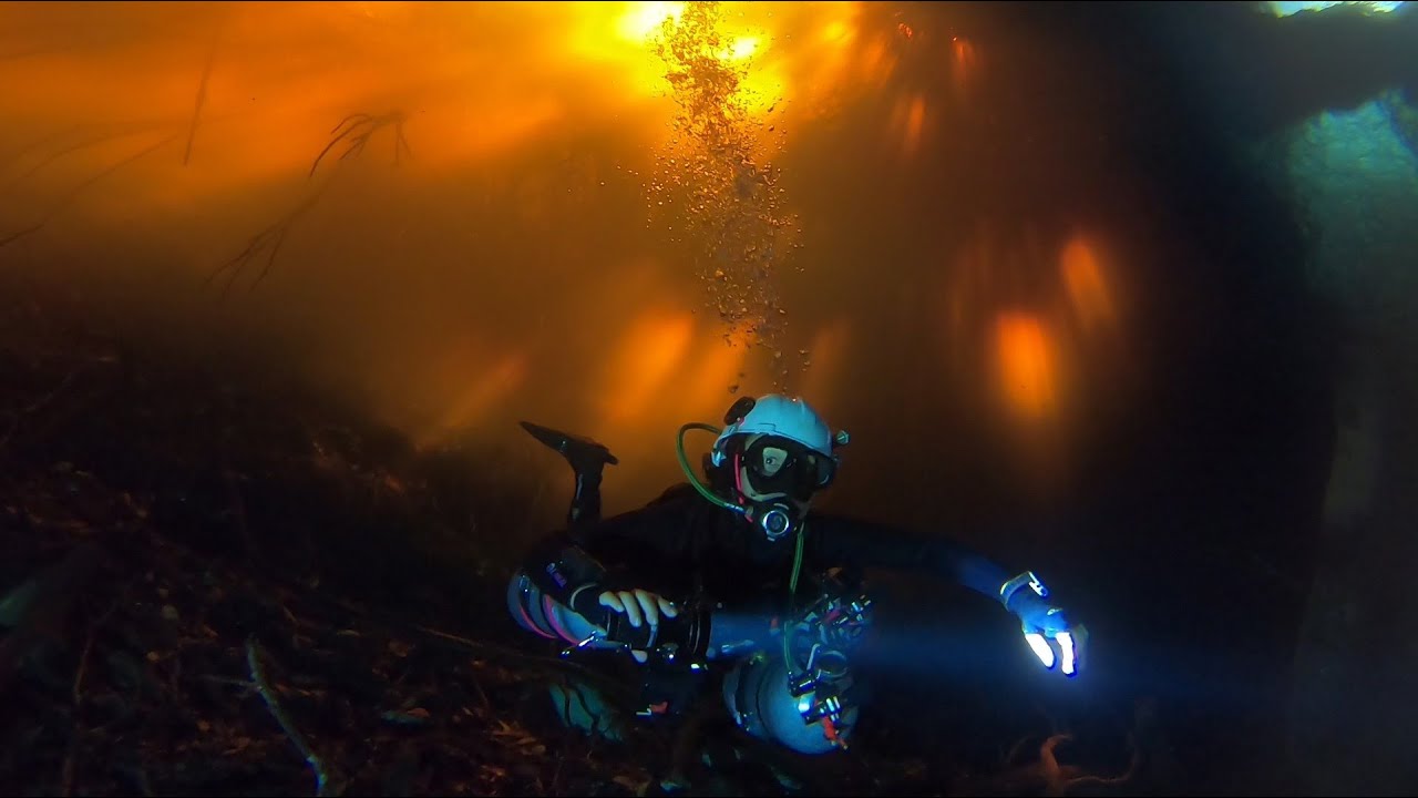 Cenote Tajma Ha - Diving through a Halocline - YouTube