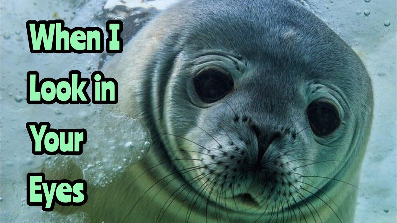 Uncomfortable Situation Seal