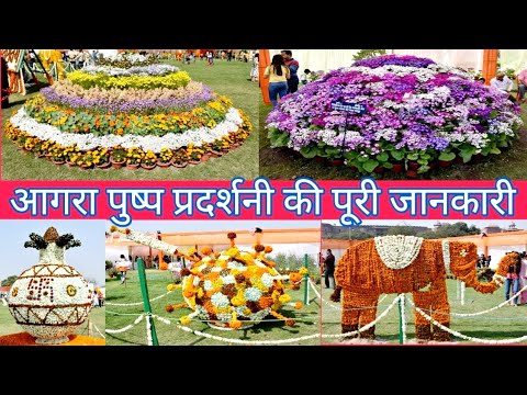 Agra Flower Show History and Facts || Agra Flower Exibition 2021 ...