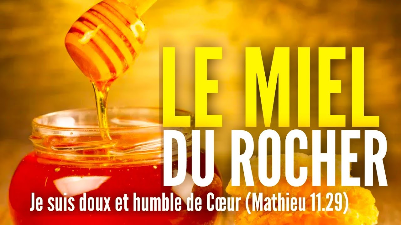 LE MIEL DU ROCHER || THE ROCK HONEY - YouTube