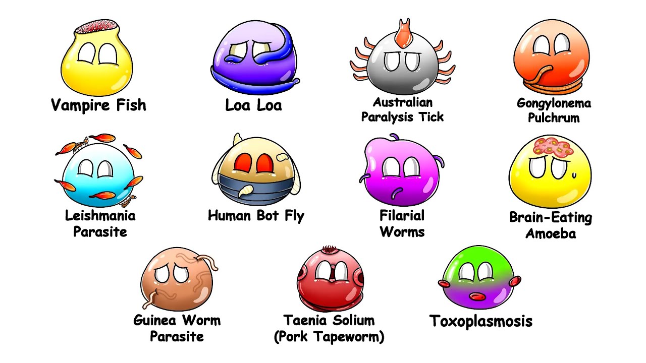 Every Deadliest Parasite Explained in 13 Minutes - YouTube