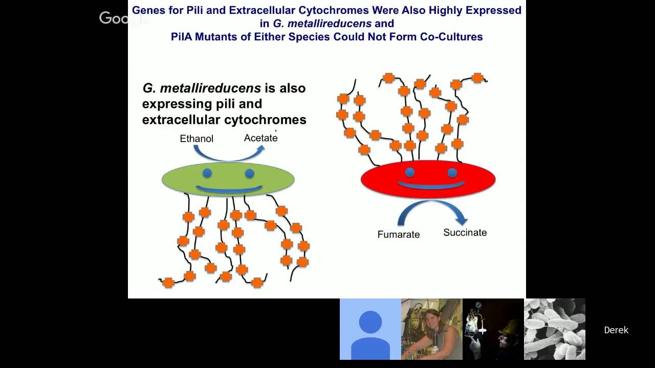 Derek Lovley: Happy Together: Microbial Communities that Hook Up to ...