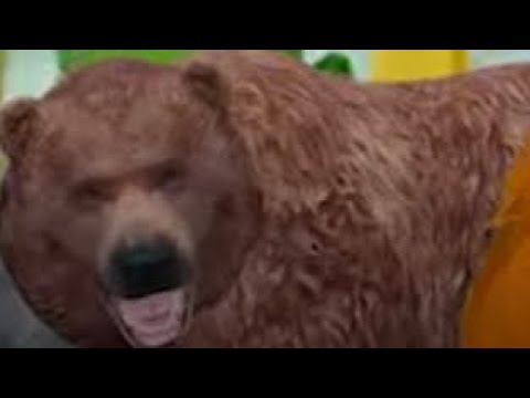 Brown bear song - YouTube