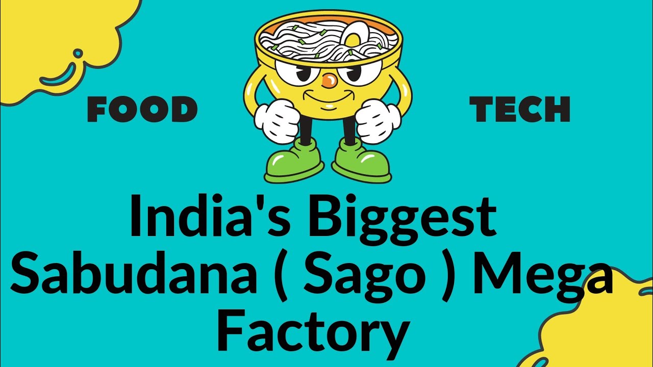 India's Biggest Sabudana ( Sago ) Mega Factory || Sabudana Ki Factory ...