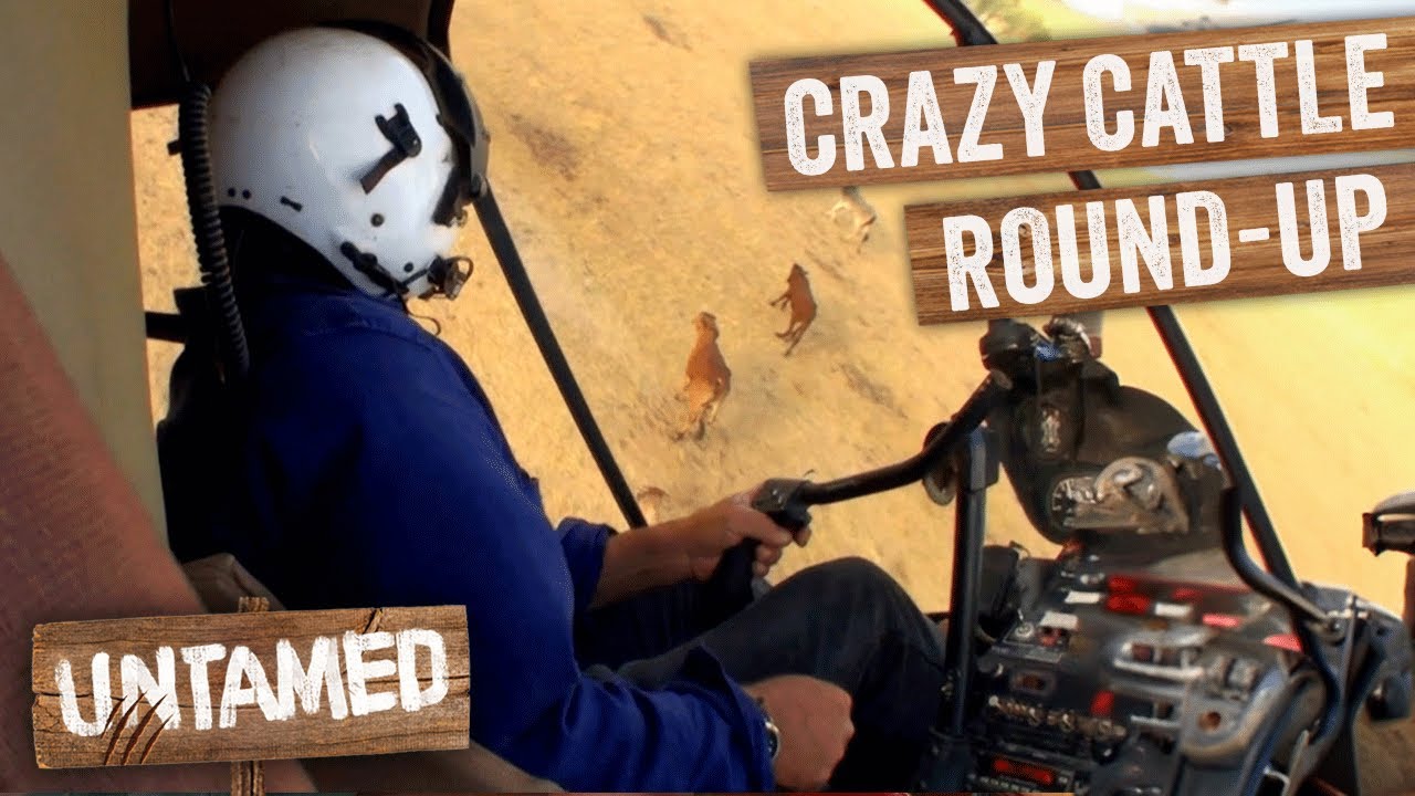 Chopper Mustering Across 1.3M Acres | Full Episode - YouTube
