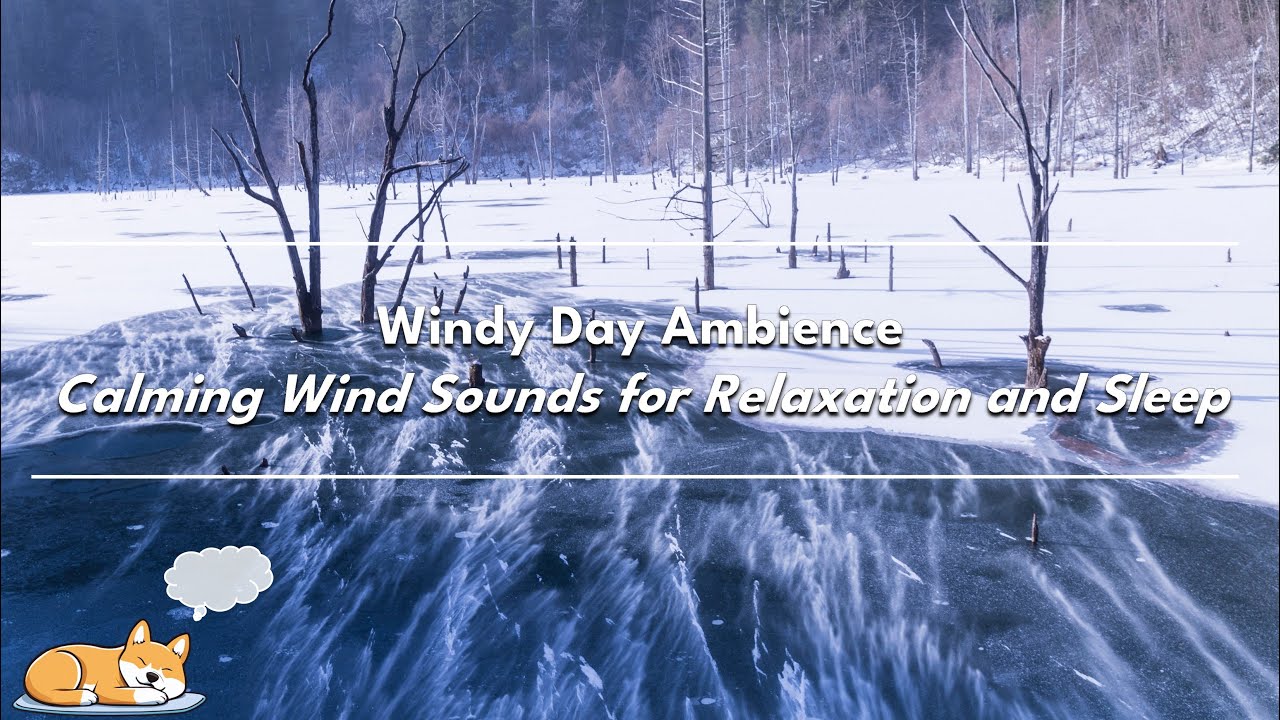 Windy Day Ambience: Calming Wind Sounds for Relaxation and Sleep - YouTube