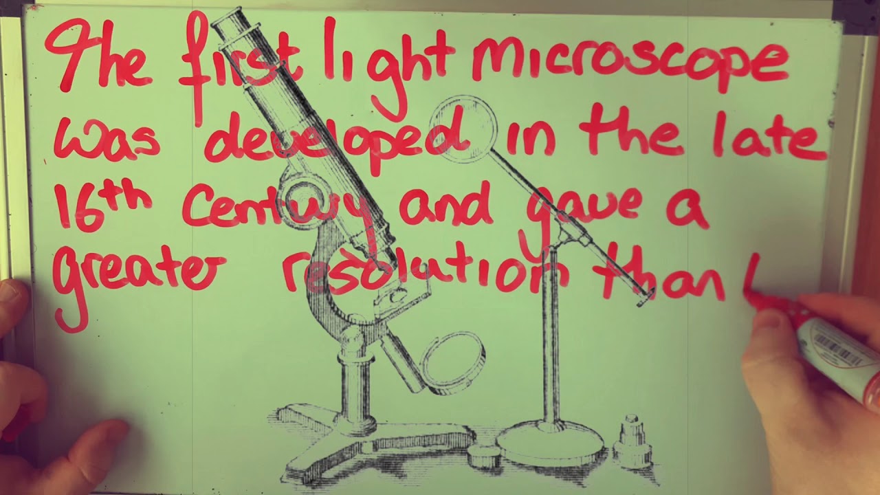 GCSE Science: Magnification & Microscopy - YouTube