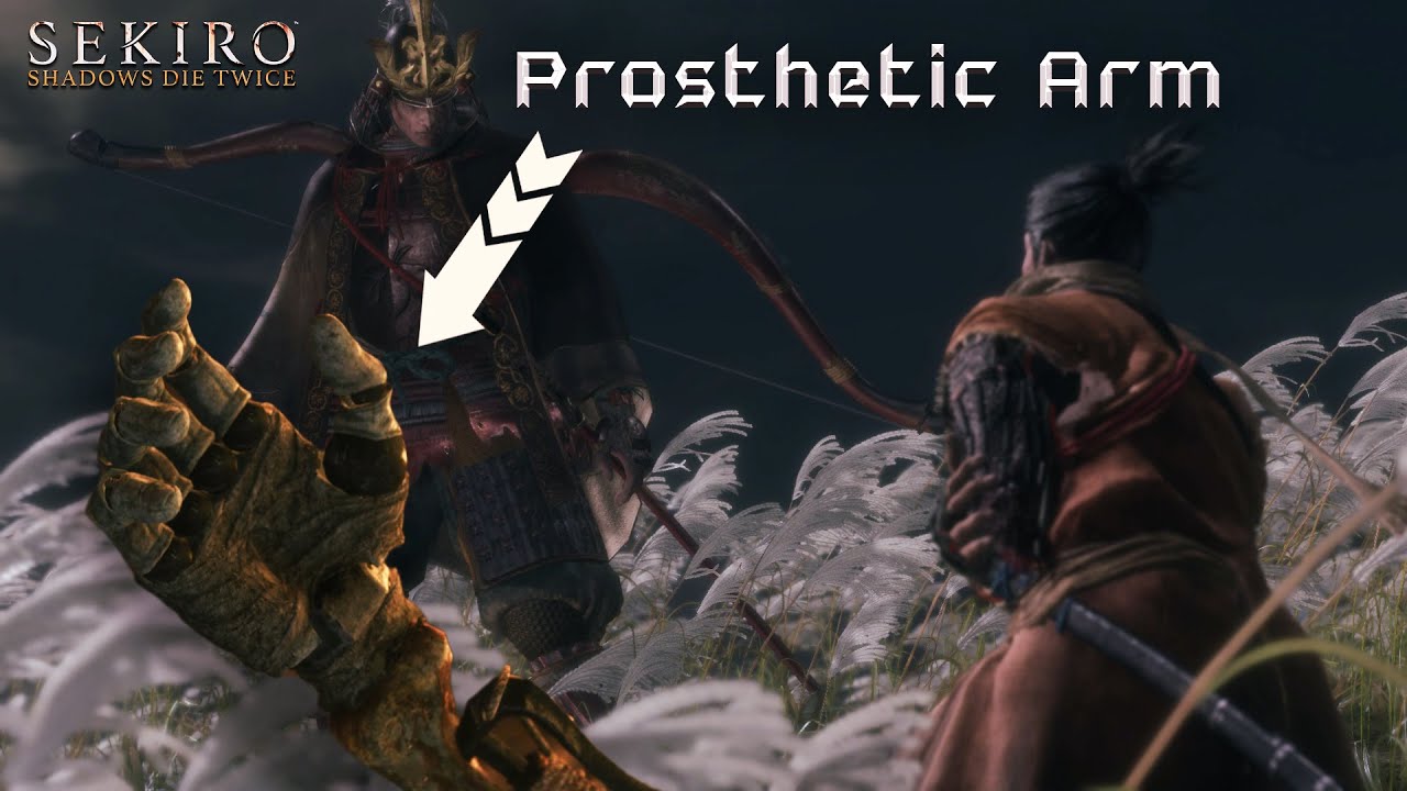 The Wolf Lost His Left Arm and Gets A New Prosthetic Arm in Sekiro ...