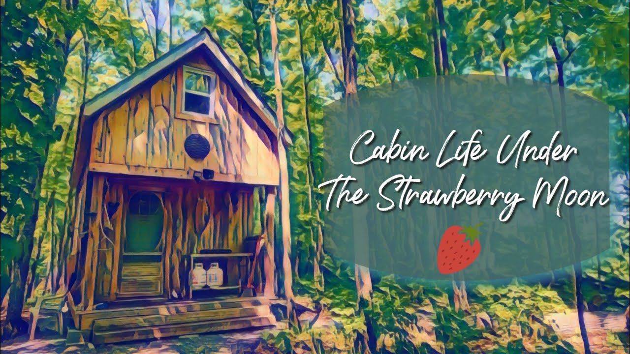 Cabin Life Under the Strawberry Moon - YouTube
