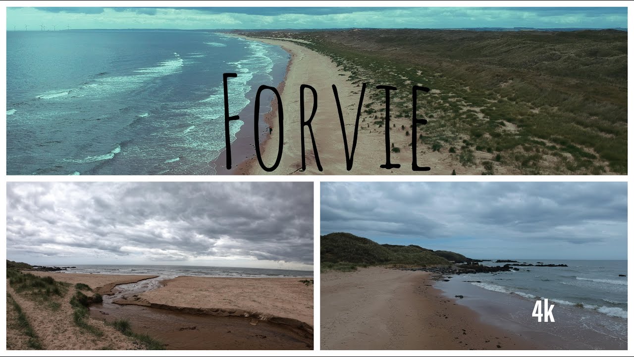 Forvie National Nature Reserve 4K Scotland June 2019 - YouTube