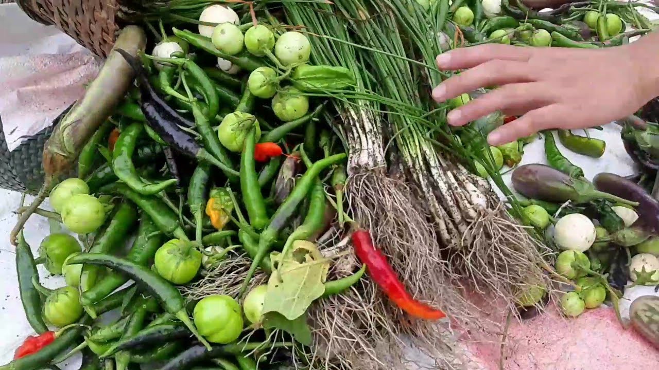Plentiful Vegetables from the Field🥬🍆🌶Akuluto Town, Nagaland. - YouTube