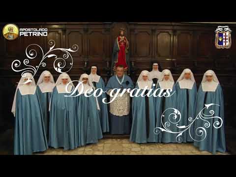 Reception of the Habit | Sisters Adorers of the Royal Heart of Jesus ...