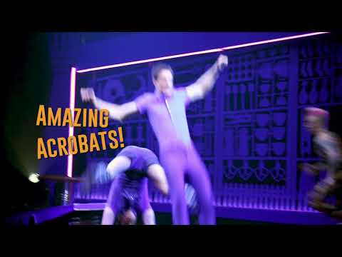 Circus Oz Flips Into Canberra!