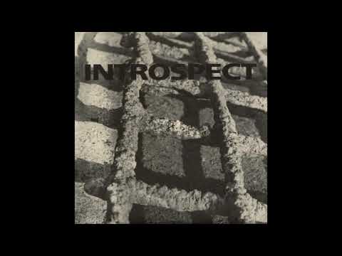 Introspect - Introspect | Releases | Discogs