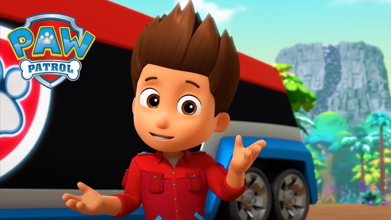 Saving Animals From a Volcano!🌋 - PAW Patrol - Cartoons for Kids - YouTube