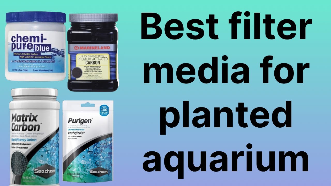 Best filter media for planted aquarium - YouTube